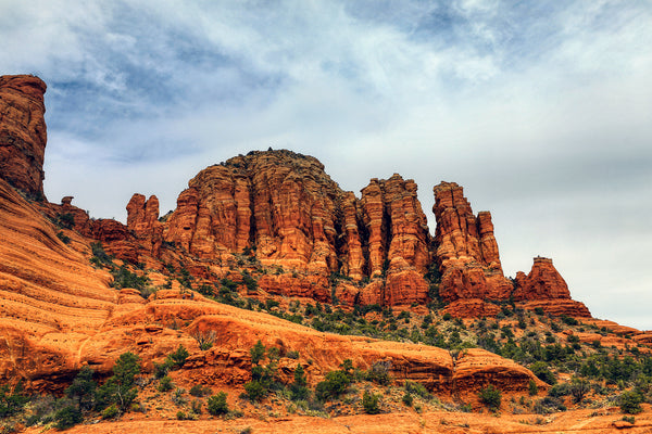 ChickenPoint272_600x.jpg?v=1681268221